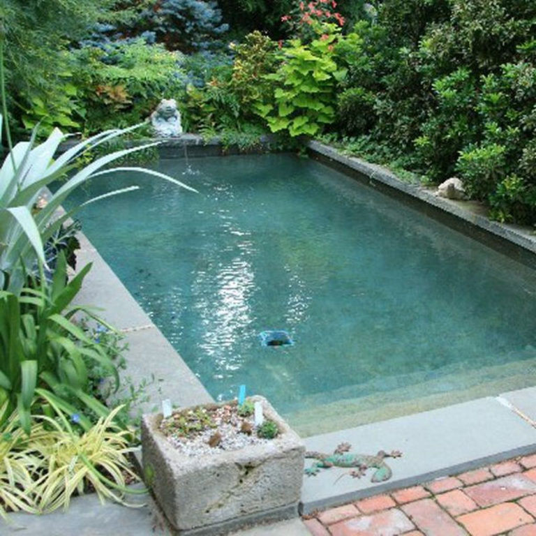 51 Popular Small Swimming Pool Design On A Budget – HOMYSTYLE